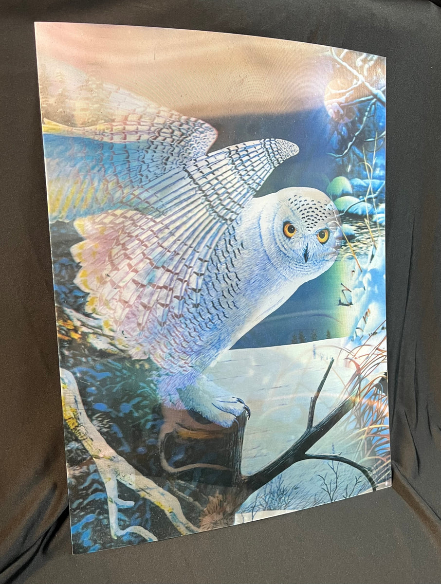 Lenticular Snowy Owl Poster – Happy Trails Inc & Joe's Smoke Shop